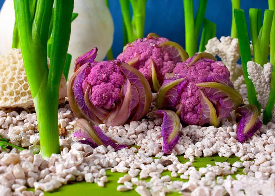 10 Famous Food Photographers You Must Checkout 2026 (Updated) - PHODUS